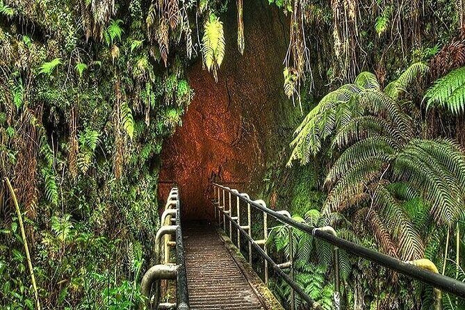 Deluxe Road to Hana Rainforest and Waterfall Experience from Oahu - The Experience from a Traveler’s Perspective