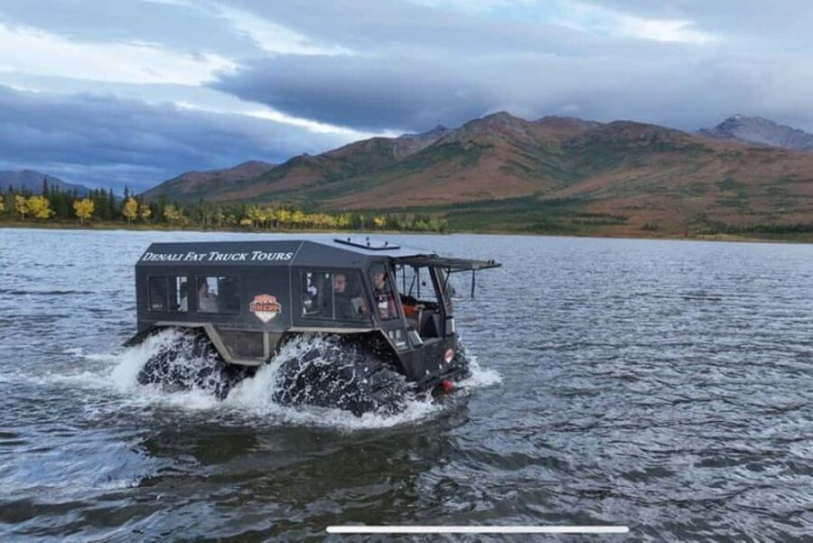 Denali: 3 Hour Fat Truck/SHERP Off-Road Adventure - A Perfect Introduction to Alaska’s Wilderness