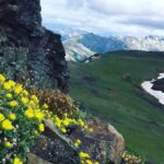 Denali 4 Hour Hiking Adventure with Naturalist Guide - Who Should Consider This Tour?