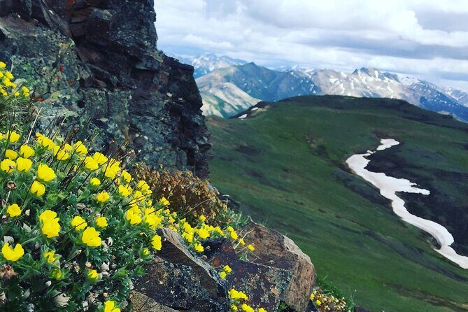 Denali 4 Hour Hiking Adventure with Naturalist Guide - Who Should Consider This Tour?