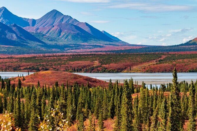 Denali Highway Overnight Excursion - What’s Included and What’s Not