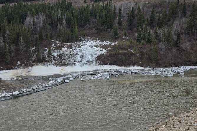 Denali National Park Shuttle - Who Will Love This Shuttle?