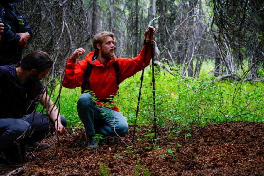 Denali: Naturalist Walking Tour in Denali National Park - Who Is This Tour Best For?