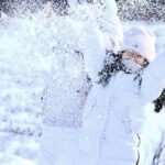Denali Summer Winter Trial Shuttle with Professional Camera - What to Expect from This Tour