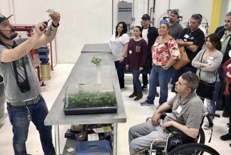 Denver: Cannabis Tour with Grow Facility Access - Who Should Consider This Tour?