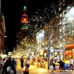 Denver: Holiday Lights and Sights Walking Tour - Practical Details & Value