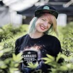 Denver: Private Luxury Cannabis Tour - Who Will Love This Tour?