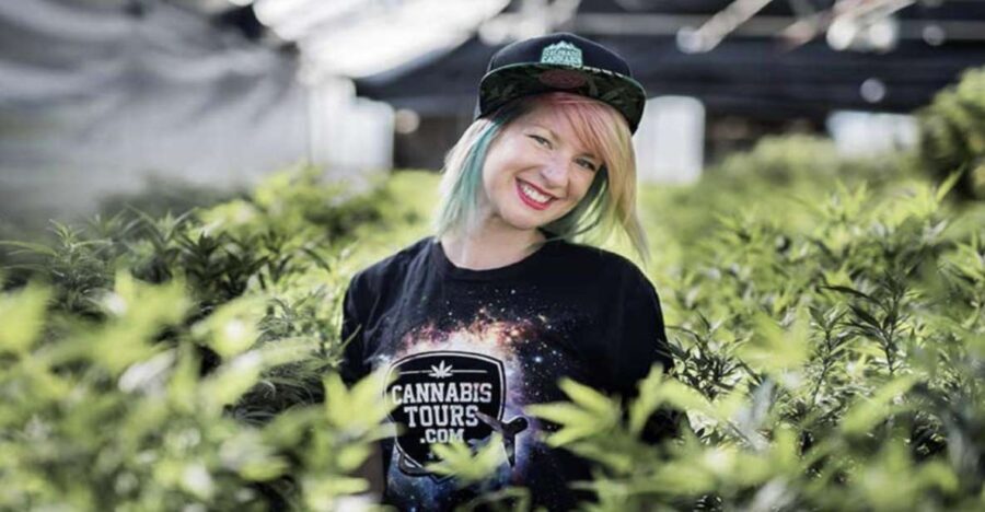 Denver: Private Luxury Cannabis Tour - Who Will Love This Tour?