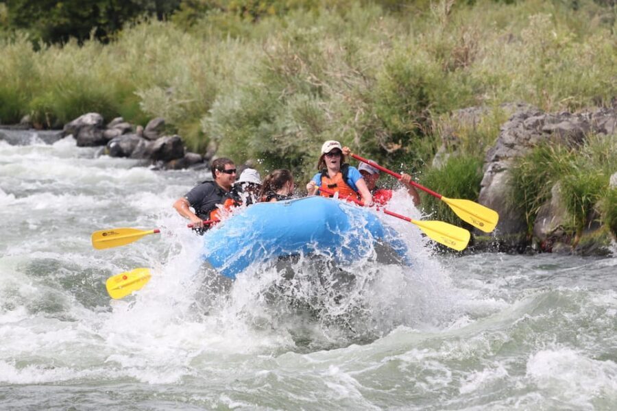 Deschutes River Half Day trips - The Guided Experience: Why It Matters