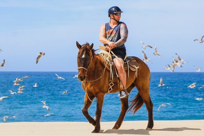 Desert and Beach Horseback Riding Experience in Cabo - Why This Tour Works for Different Types of Travelers