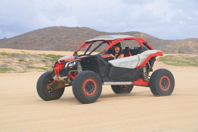 Desert and Beach Off Road Tour in Cabo San Lucas - The Itinerary: What to Expect