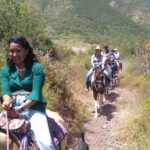 Desert Peaks on Horseback, Exploring Mountain Trails of Ensenada - The Overall Value & Who Will Love It