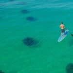 Destin Dolphin and Snorkeling Adventure Speedboat Tour - The Speed & Comfort of the Boat