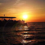 Destin: Dolphin Watching Cruise - A Detailed Look at the Tour