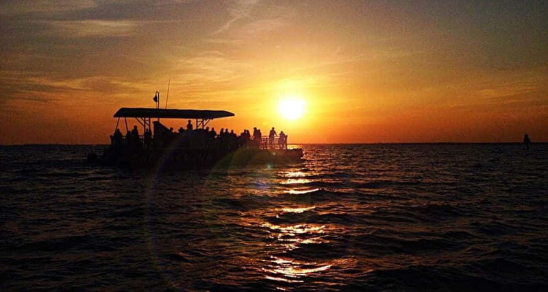 Destin: Dolphin Watching Cruise - A Detailed Look at the Tour