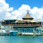 Destin Harbor Boat Ride and Dolphin Watching on the Hopper - Breaking Down the Itinerary