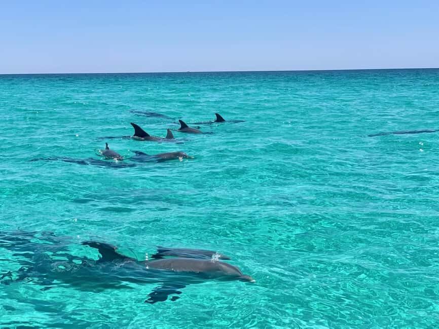 Destin: Private Morning Dolphin Cruise - The Sum Up