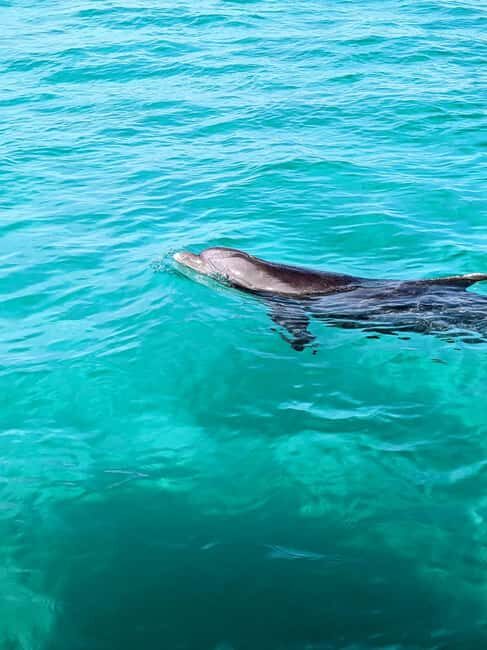 Destin: Public 3 Hour Crab Island and Harbor Tour - Introduction