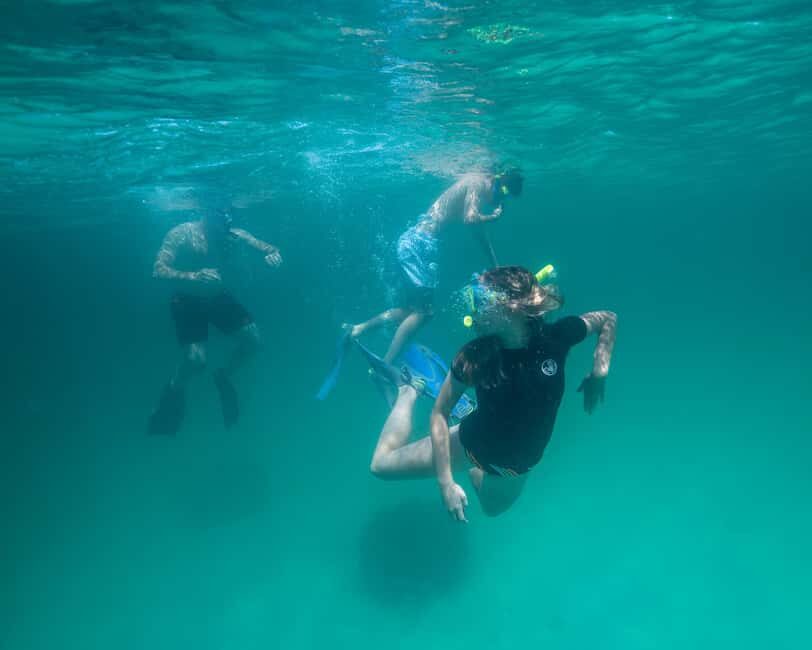 Destin: Reef Snorkeling Adventure - Analyzing the Value