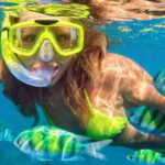 Destin: Snorkeling Cruise with 2 Stops and Dolphin Watching - The Value of the Experience