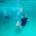 Destin: Snorkeling, Dolphins, and Crab Island - What Makes This Tour Stand Out?