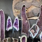 Dinosaur World Glen Rose - Key Points