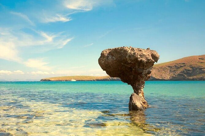Discover Baja's Heart by Exploring La Paz Beaches and Culture - What Past Travelers Say