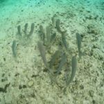 Discover Crystal River's Secrets with Private Boat Tour - Who Is This Tour Best For?