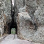 Discover Custer State Park A Self Guided Audio Driving Tour - Who Will Love This Tour?