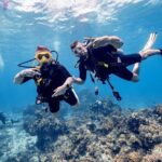 Discover Diving in the Reefs of Cozumel - The Location and Meeting Details