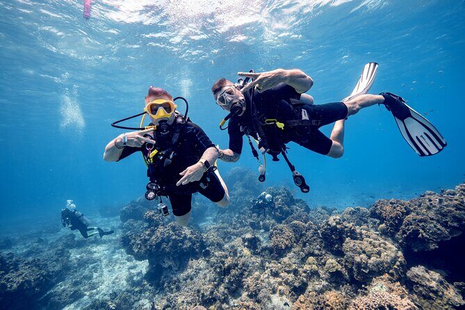 Discover Diving in the Reefs of Cozumel - The Location and Meeting Details