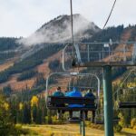 Discover Grizzly Bears from Banff - Who Will Love This Tour?