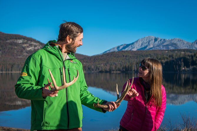 Discover Jasper and its Wildlife - The Experience: Pros and Cons