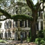 Discover Lesser Known Stories on the Hidden Savannah Walking Tour - Practical Details & Value
