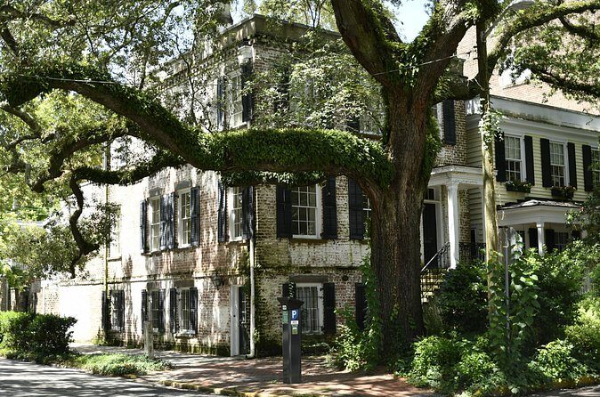 Discover Lesser Known Stories on the Hidden Savannah Walking Tour - Practical Details & Value