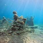 Discover Scuba at the Underwater Sculpture Park - Who Should Consider This Tour?