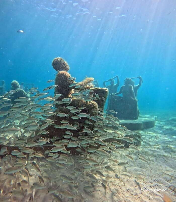 Discover Scuba at the Underwater Sculpture Park - Who Should Consider This Tour?