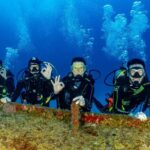 Discover Scuba Diving at Cozumel Marine Park - Why This Tour Works for Different Travelers