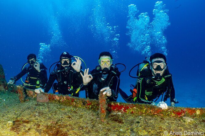 Discover Scuba Diving at Cozumel Marine Park - Why This Tour Works for Different Travelers