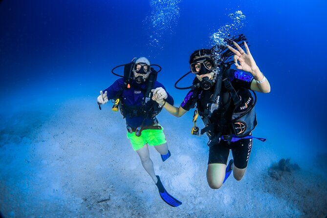 Discover Scuba Diving & Beach Club with Transportation In Riviera Maya - In-Depth Look at the Itinerary