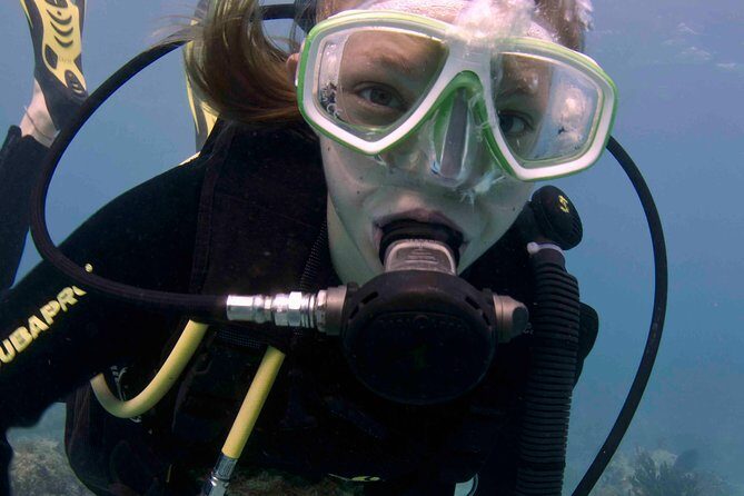 Discover Scuba Diving - One Tank at Coral Reef - The Sum Up