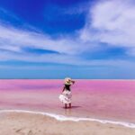Discover the FABULOUS PINK WATERS in the Caribean - Who Is This Tour Best For?