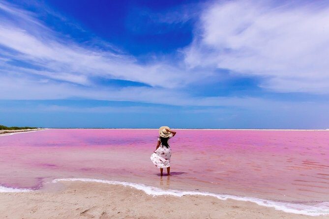 Discover the FABULOUS PINK WATERS in the Caribean - Who Is This Tour Best For?