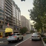 Discover Washington DC from New York City - What Makes This Tour Stand Out