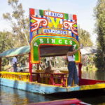 Discover Xochimilco and Coyoacán: Tradition, Music, Culture - Analyzing the Value