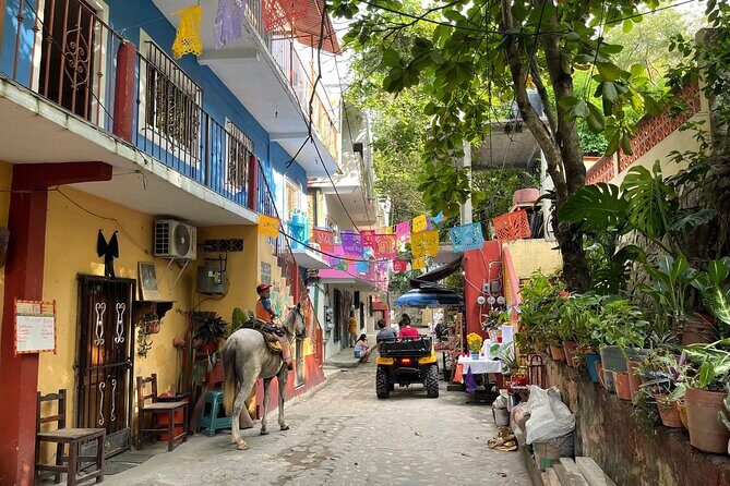 Discover Yelapa Fishing Village - The Value and Practicalities