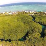 Discovering Breathtaking Cenotes in Tulum - The Sum Up