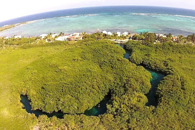 Discovering Breathtaking Cenotes in Tulum - The Sum Up