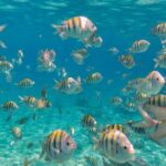 Discovering Isla Mujeres on a Double Decker Catamaran - The Experience in Context
