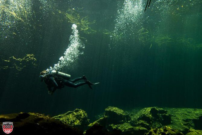 Discovery Scuba Diving - Authenticity and Overall Experience